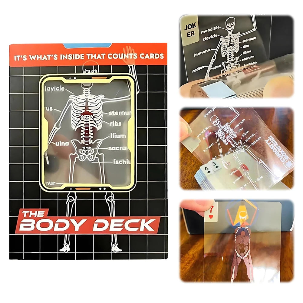 The Body Deck™ – Transparent 3D Anatomy Playing Cards – Vivid Basket